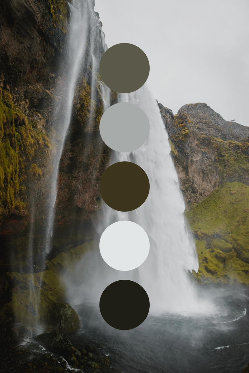 Get color palette inspiration from nature