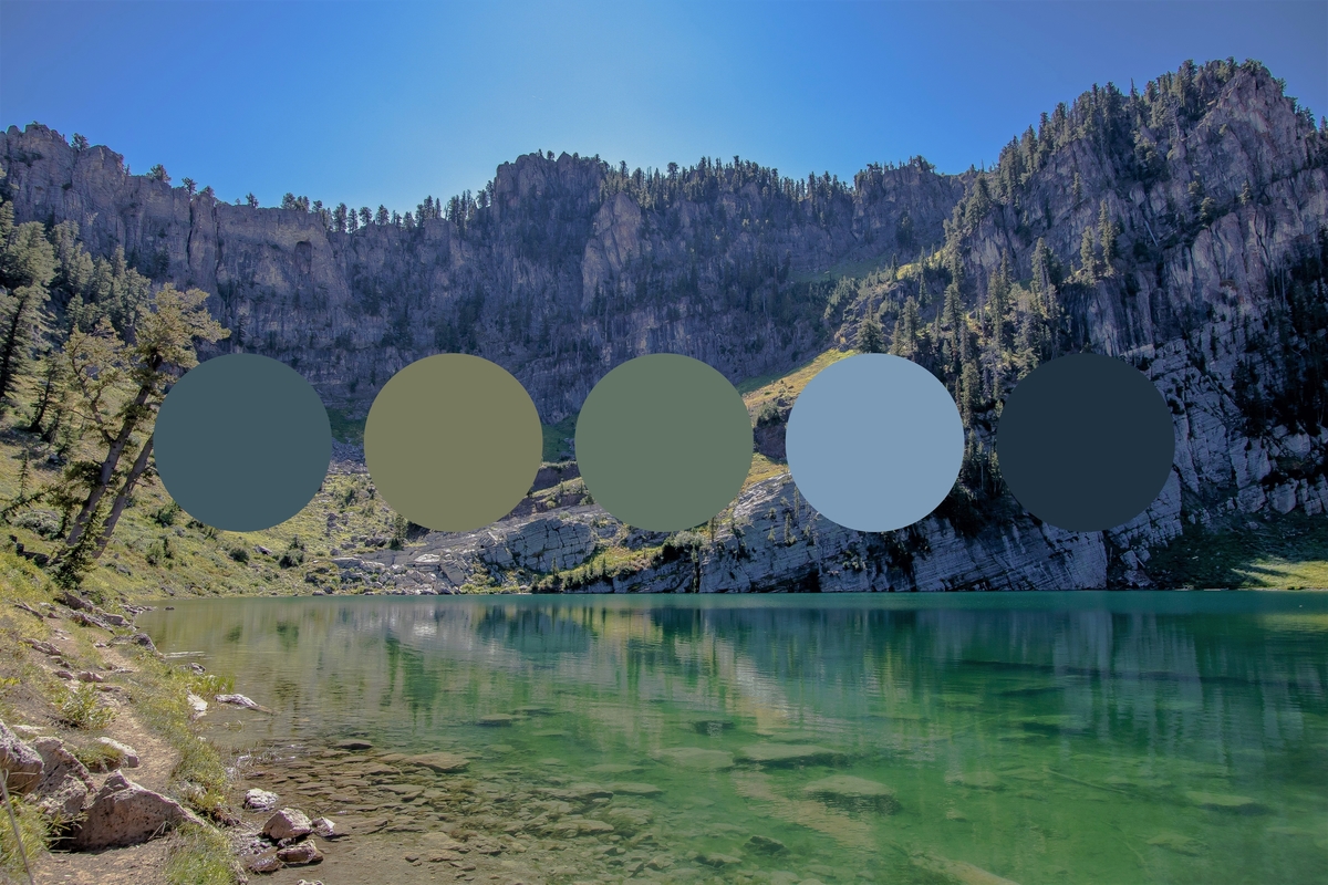 Get color palette inspiration from nature
