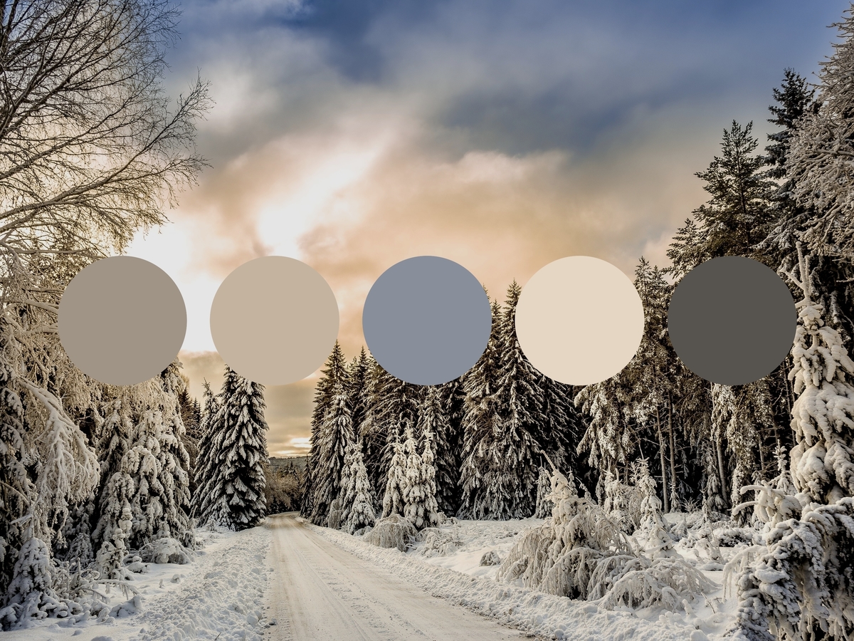Get color palette inspiration from nature