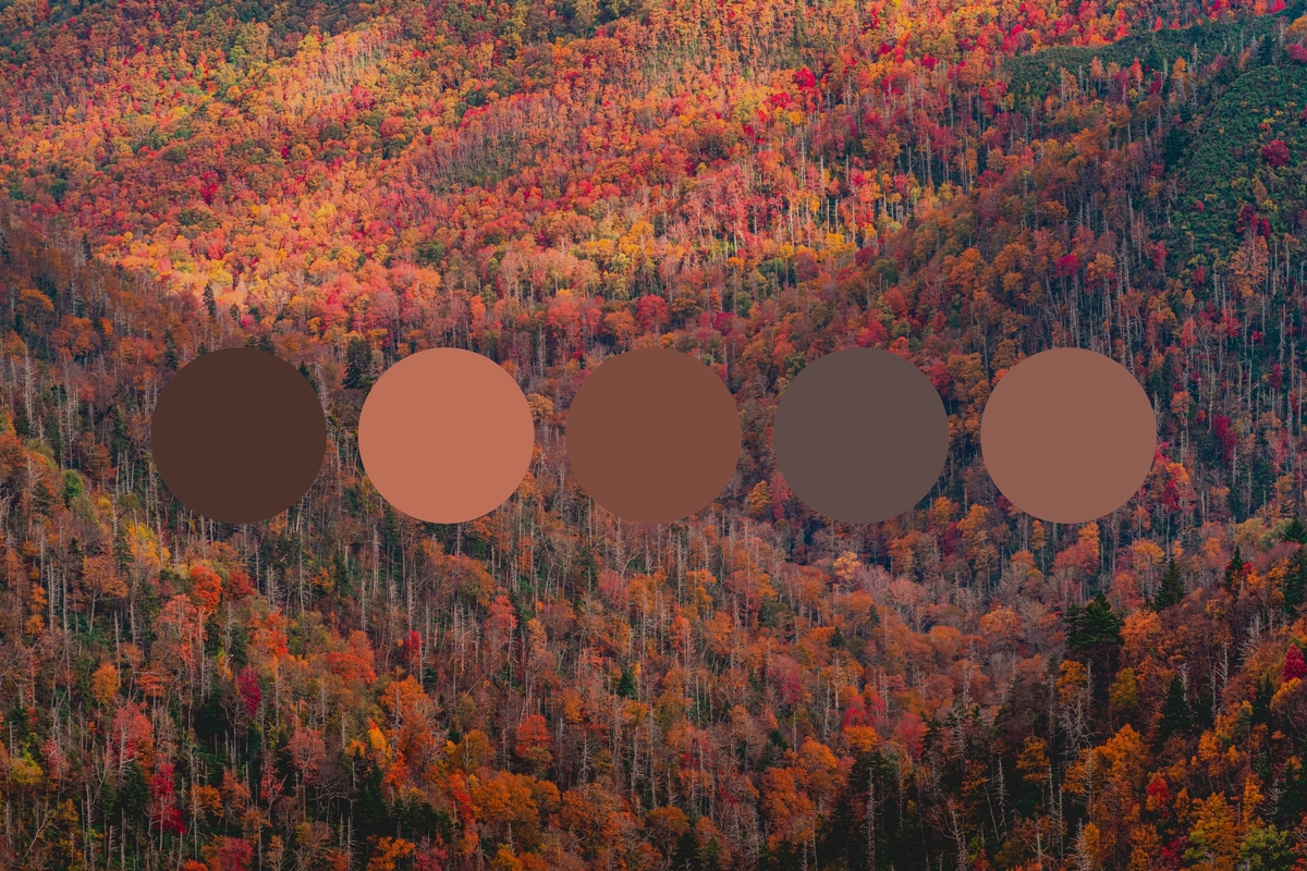 Get color palette inspiration from nature