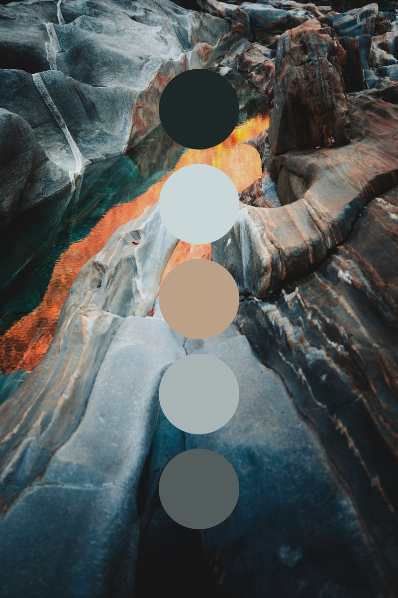 Get color palette inspiration from nature