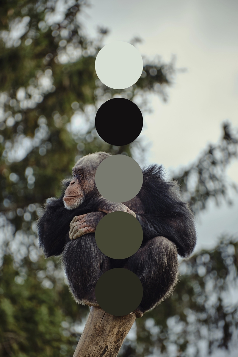 Get color palette inspiration from nature