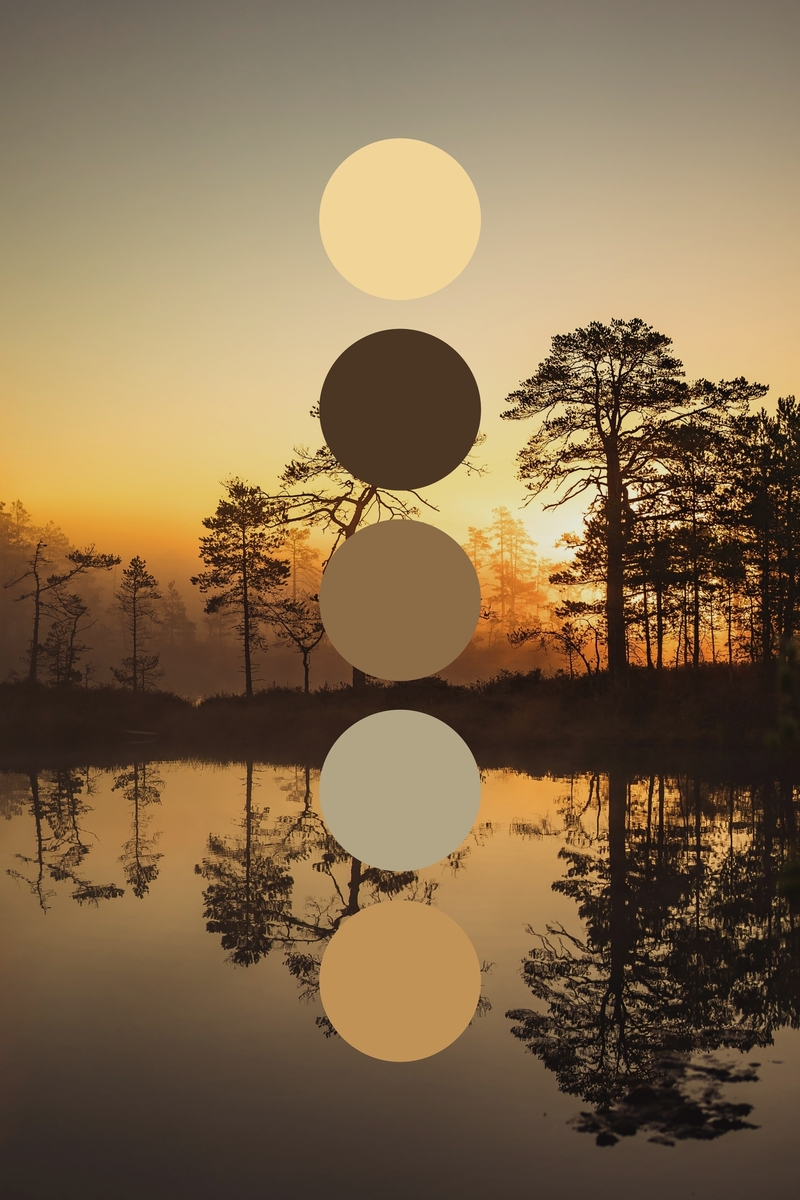 Get color palette inspiration from nature