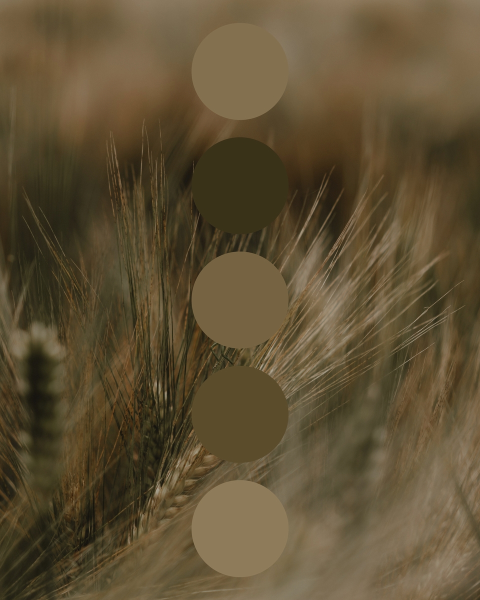 Get color palette inspiration from nature