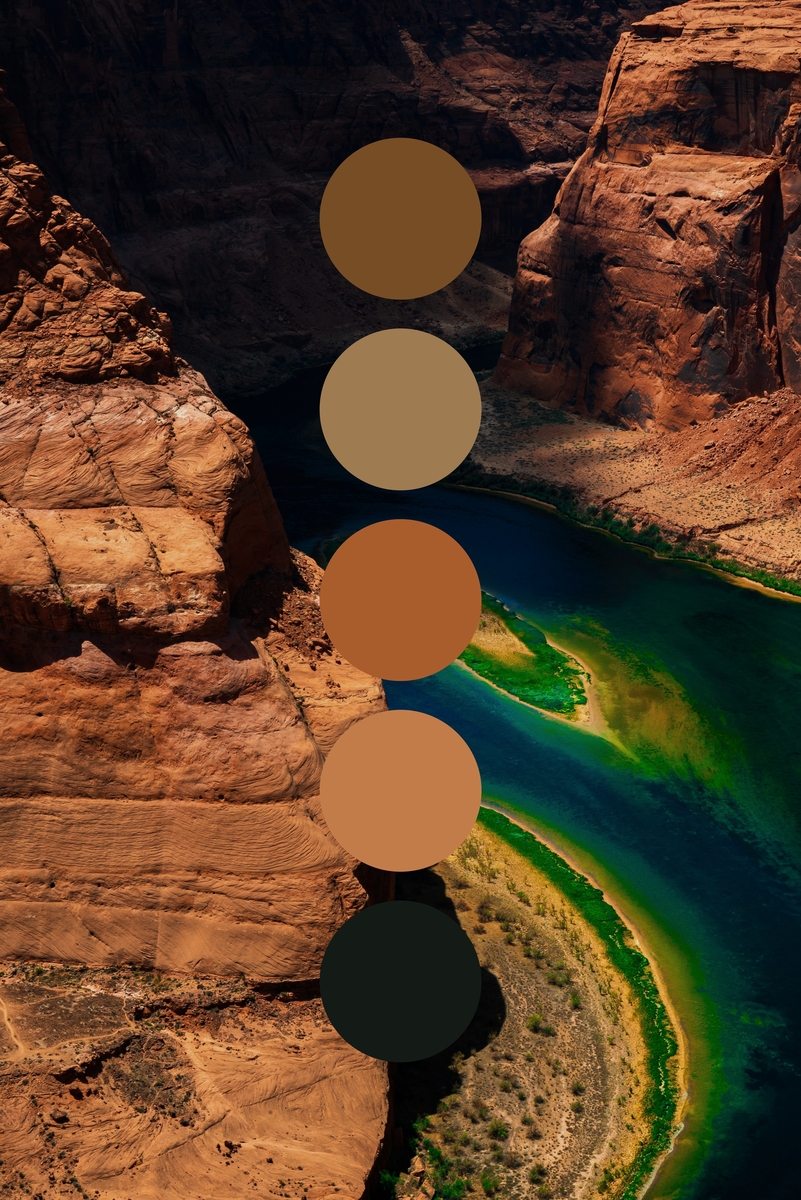 Get color palette inspiration from nature