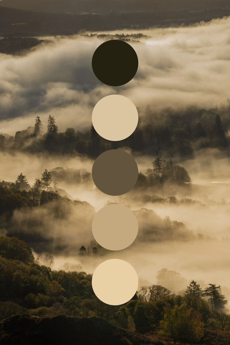 Get color palette inspiration from nature