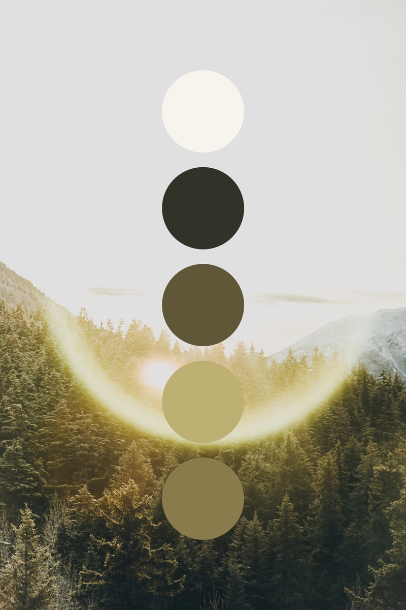 Get color palette inspiration from nature