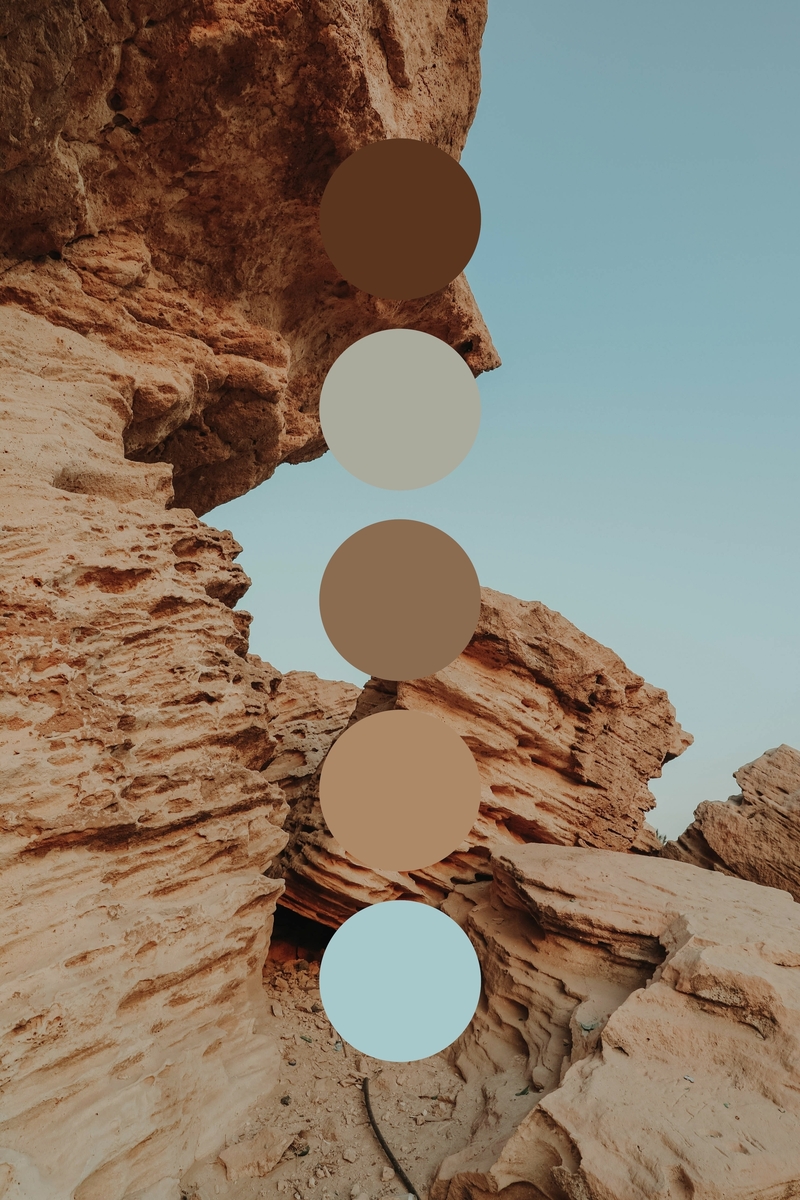 Get color palette inspiration from nature