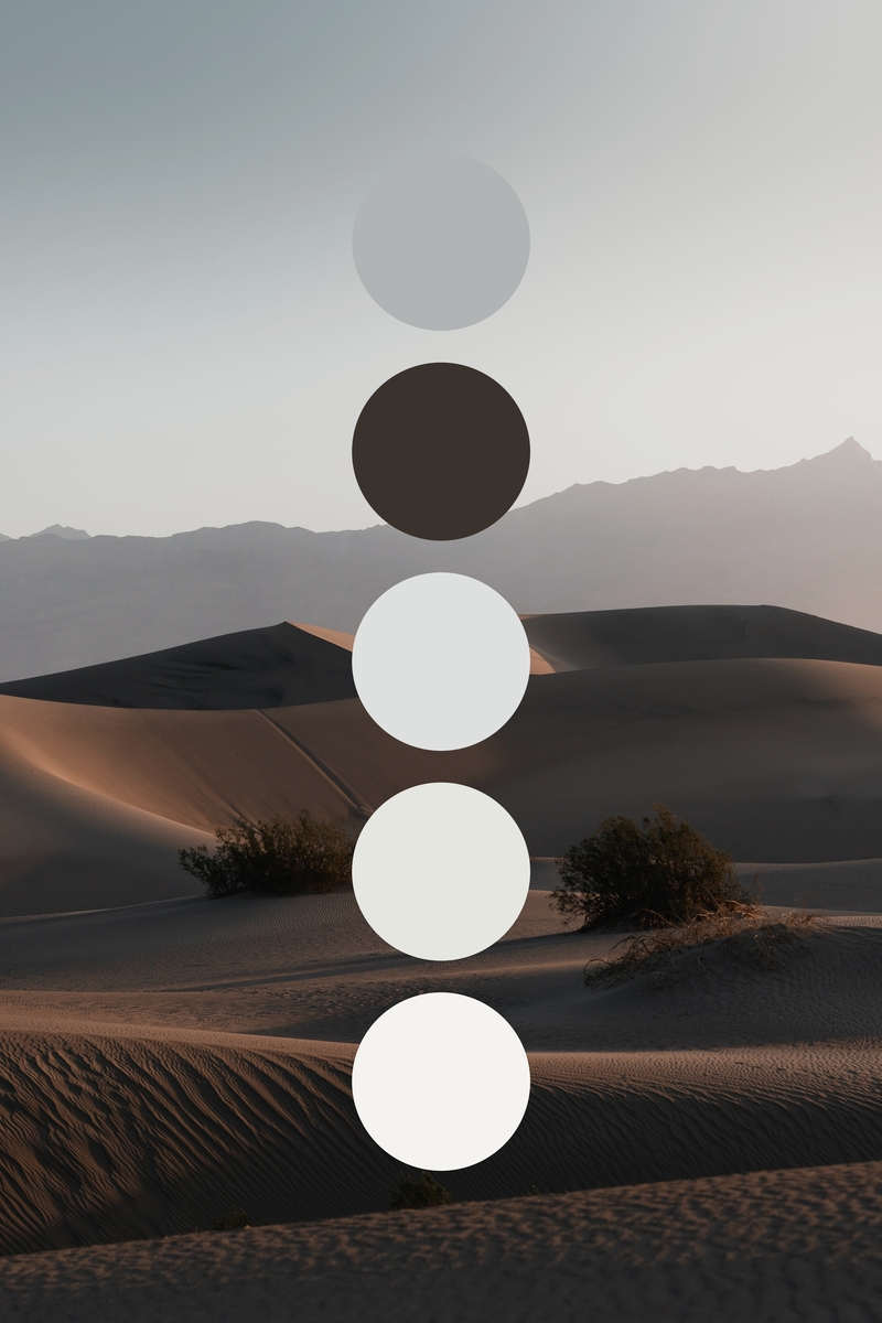 Get color palette inspiration from nature