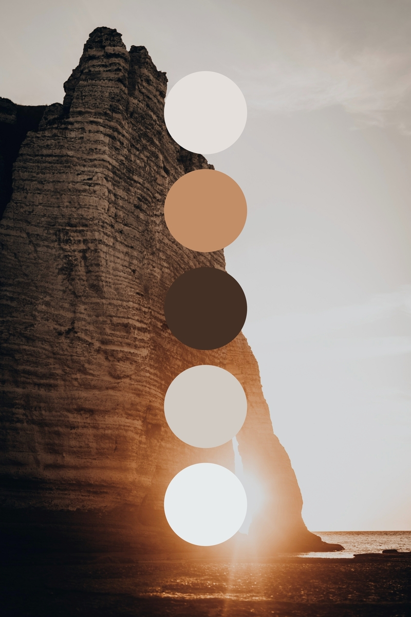 Get color palette inspiration from nature