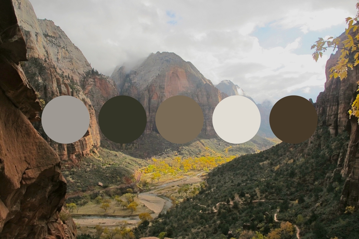 Get color palette inspiration from nature