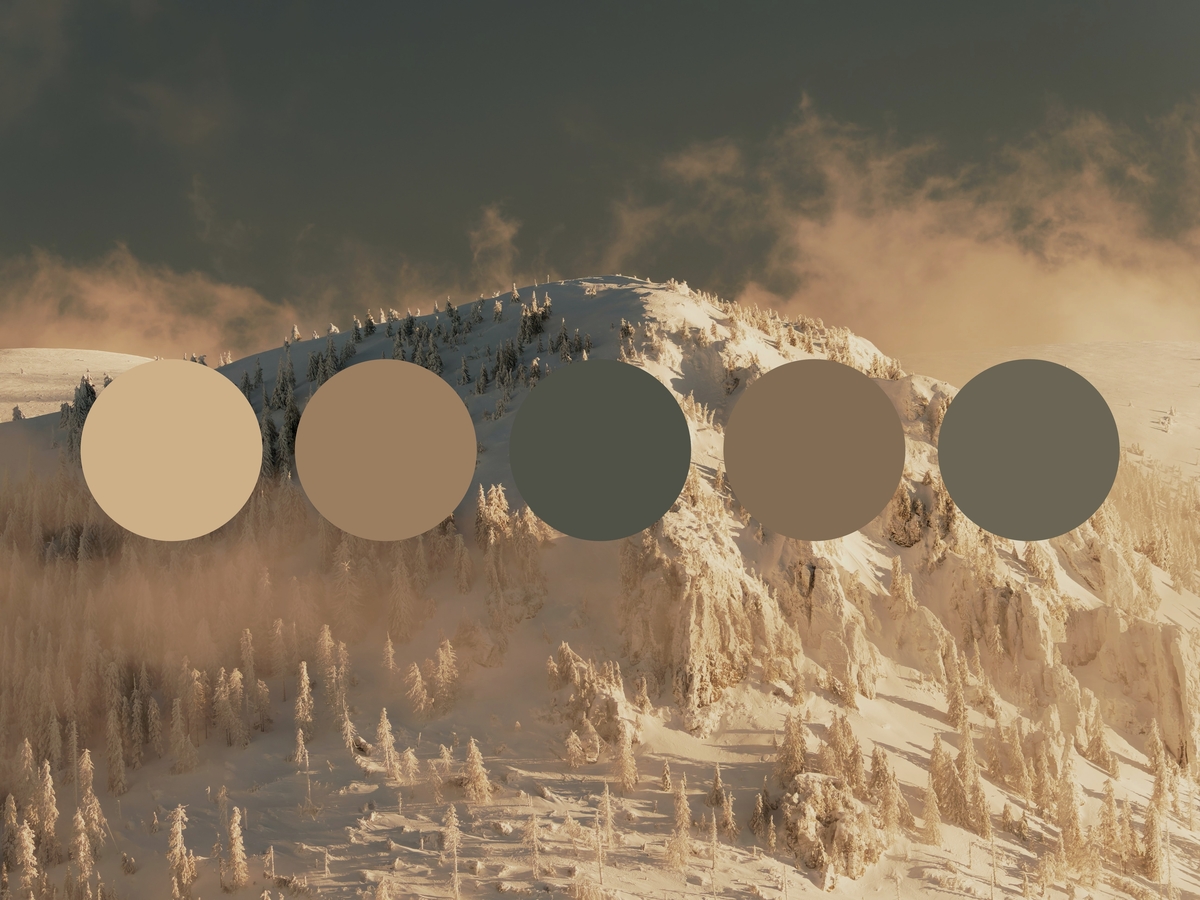 Get color palette inspiration from nature