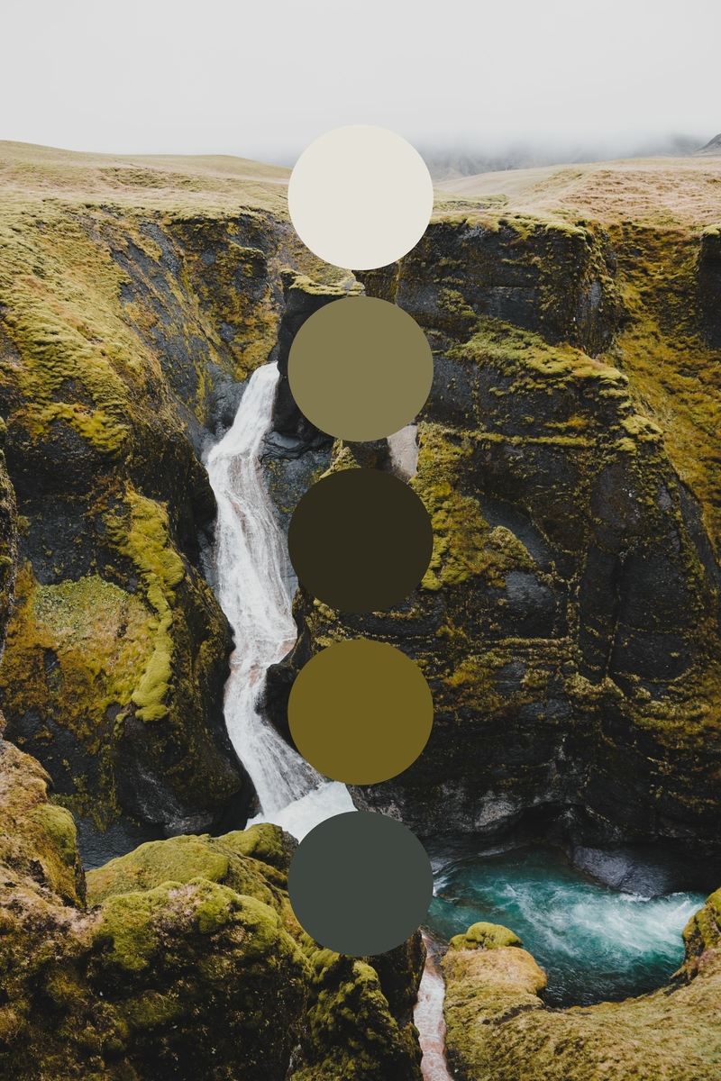 Get color palette inspiration from nature