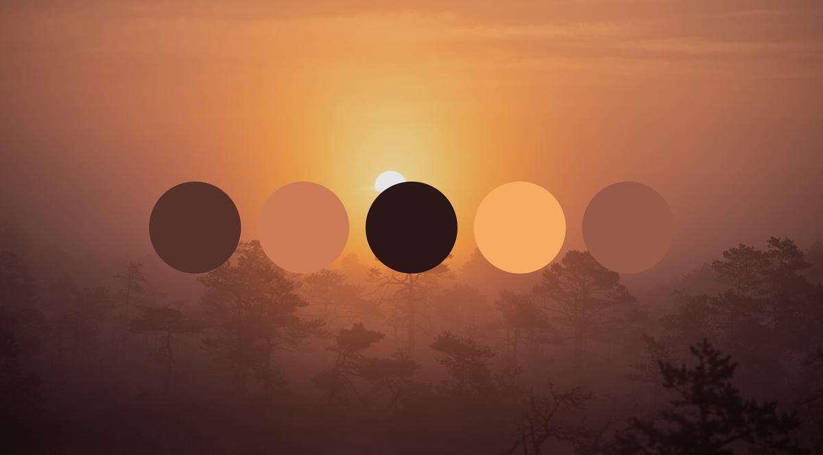 Get color palette inspiration from nature