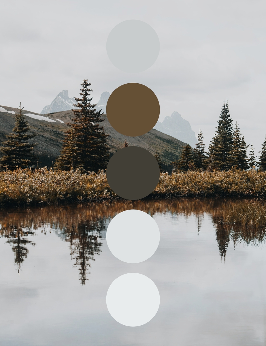Get color palette inspiration from nature