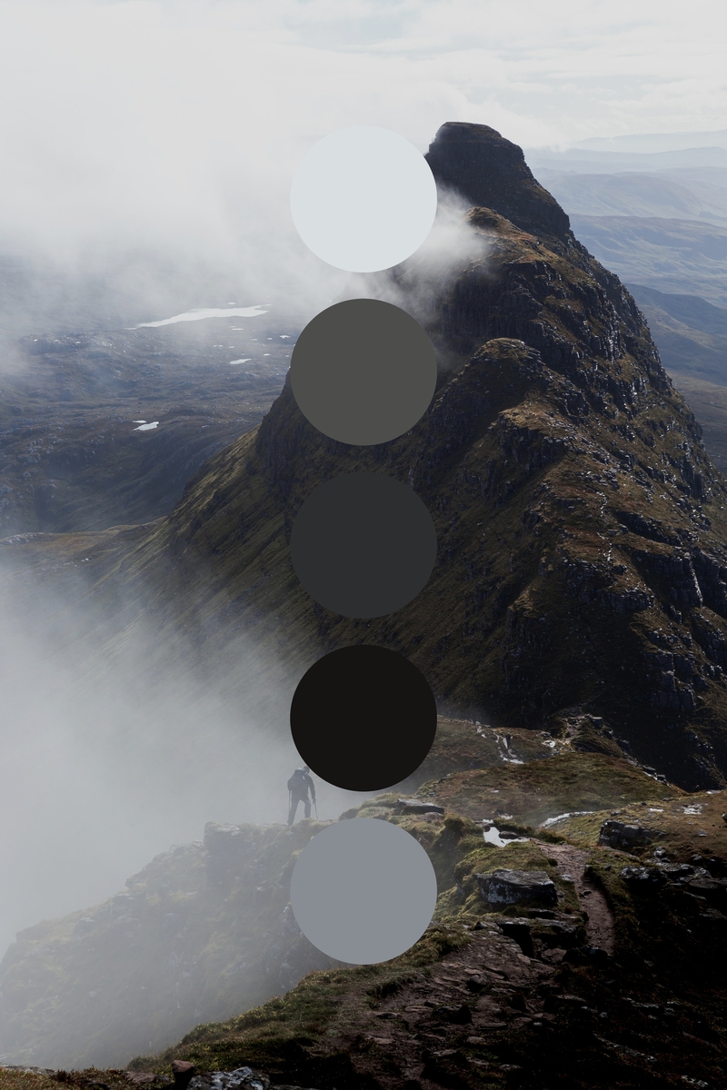 Get color palette inspiration from nature