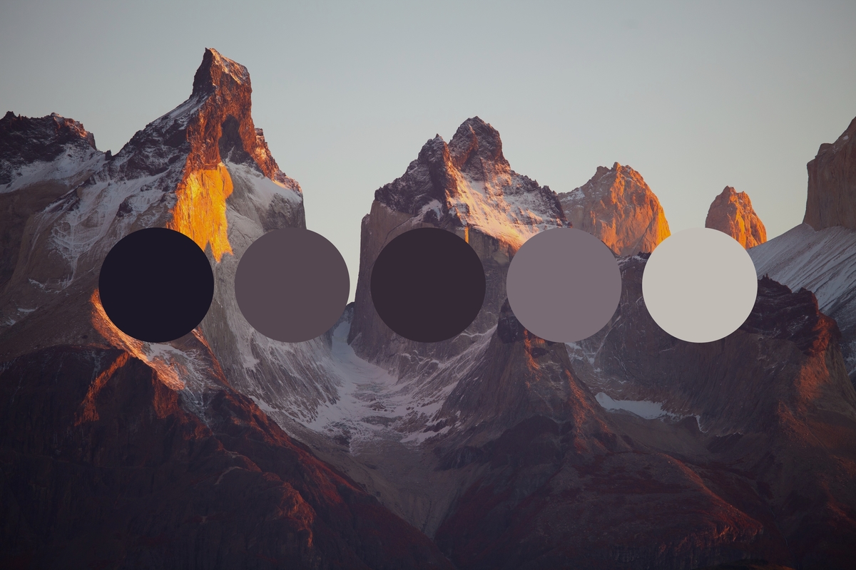 Get color palette inspiration from nature
