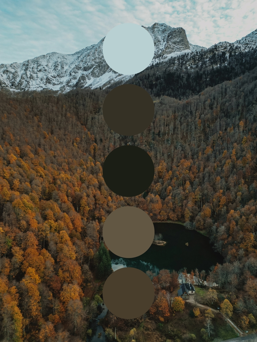 Get color palette inspiration from nature
