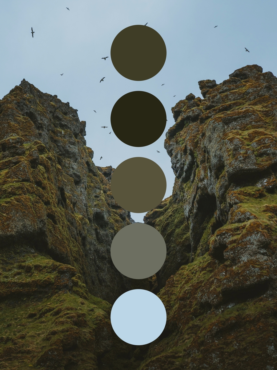 Get color palette inspiration from nature