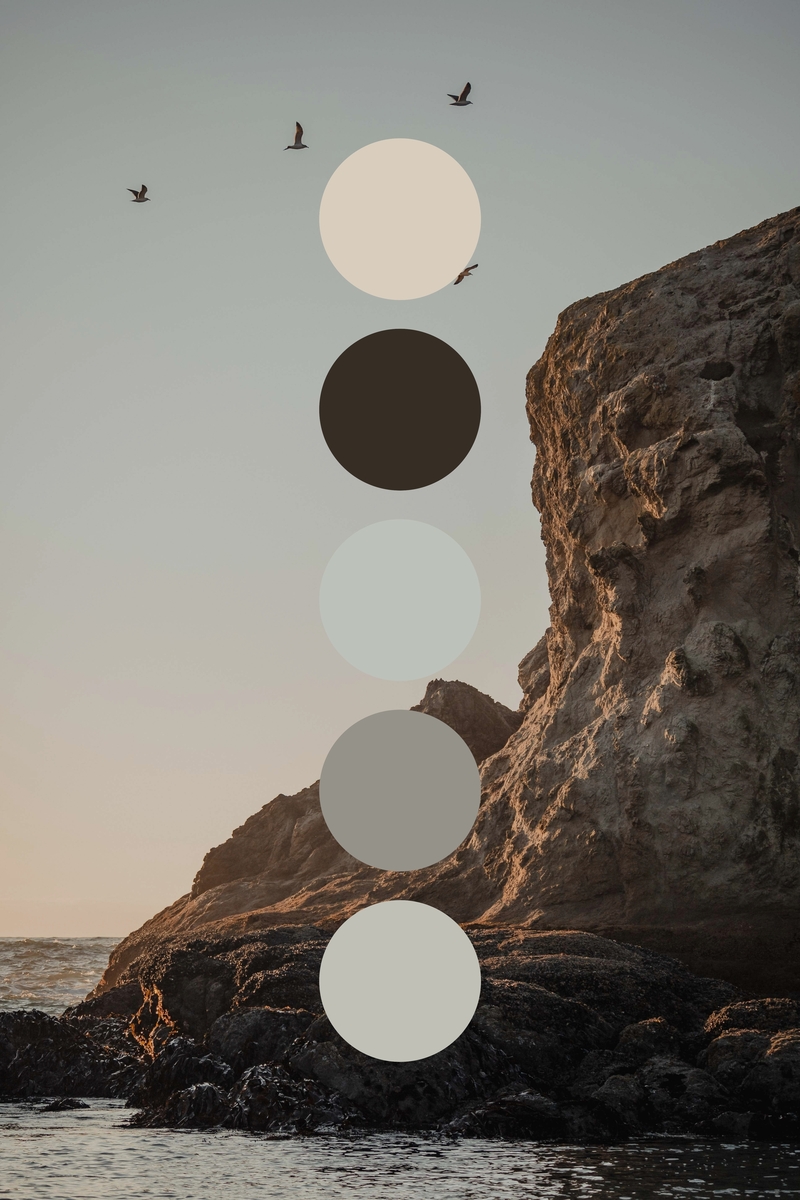 Get color palette inspiration from nature