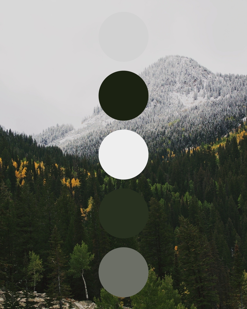 Get color palette inspiration from nature