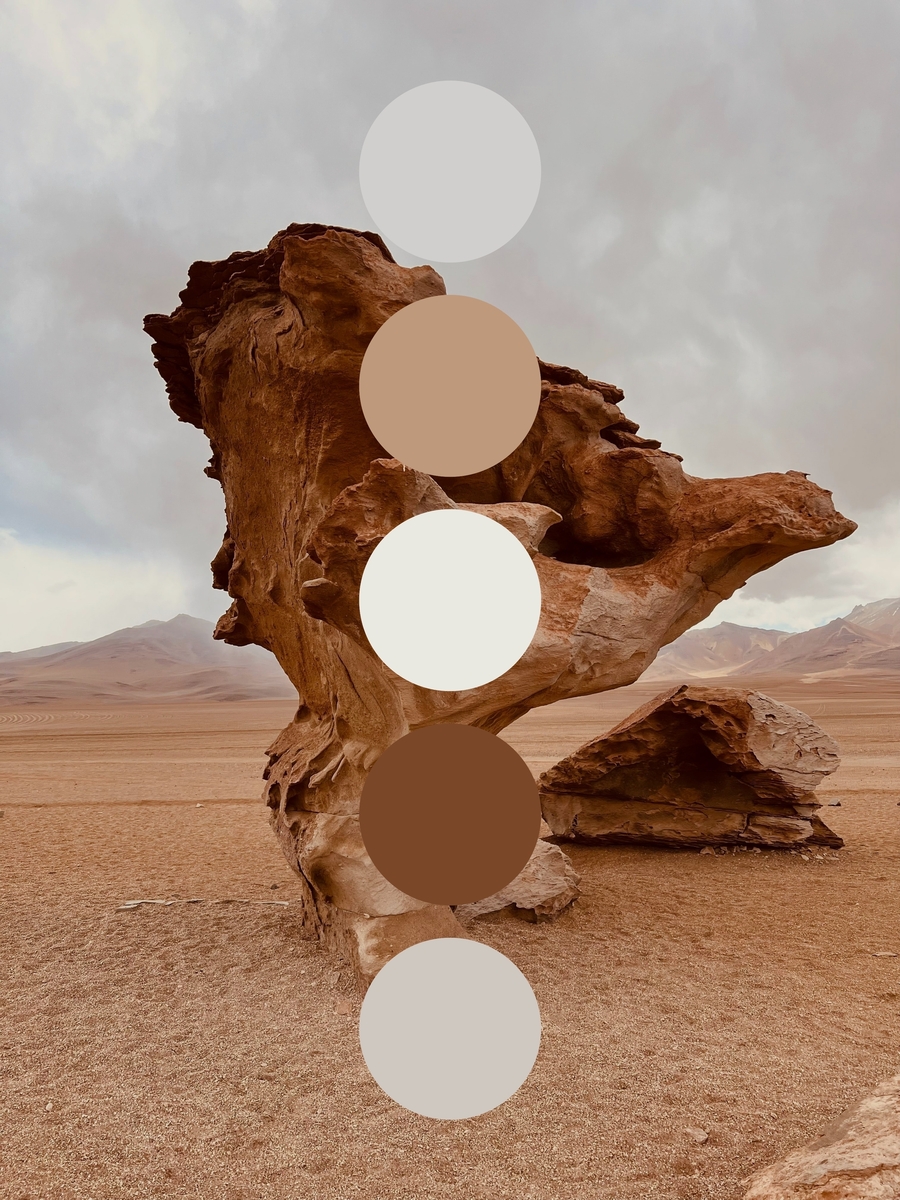 Get color palette inspiration from nature