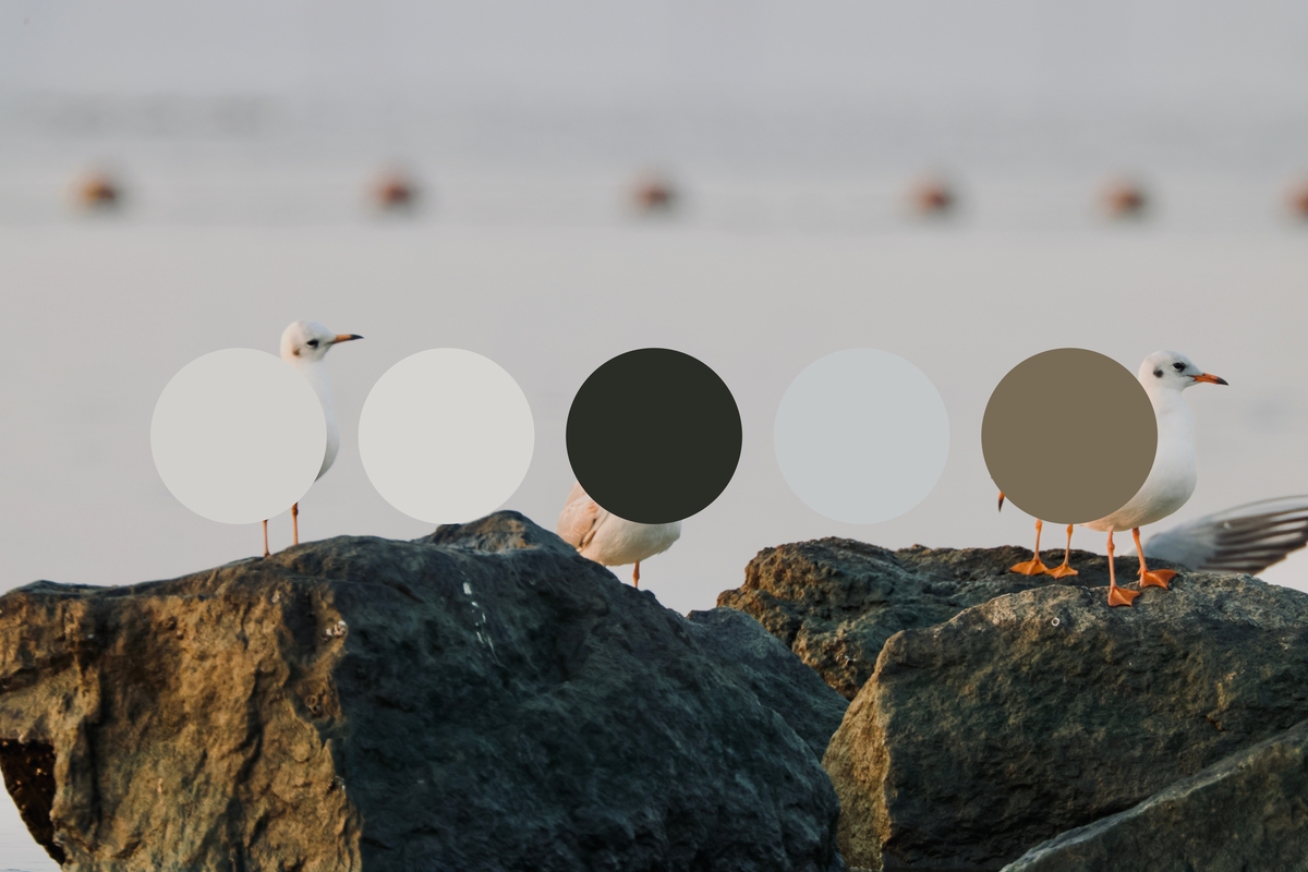 Get color palette inspiration from nature