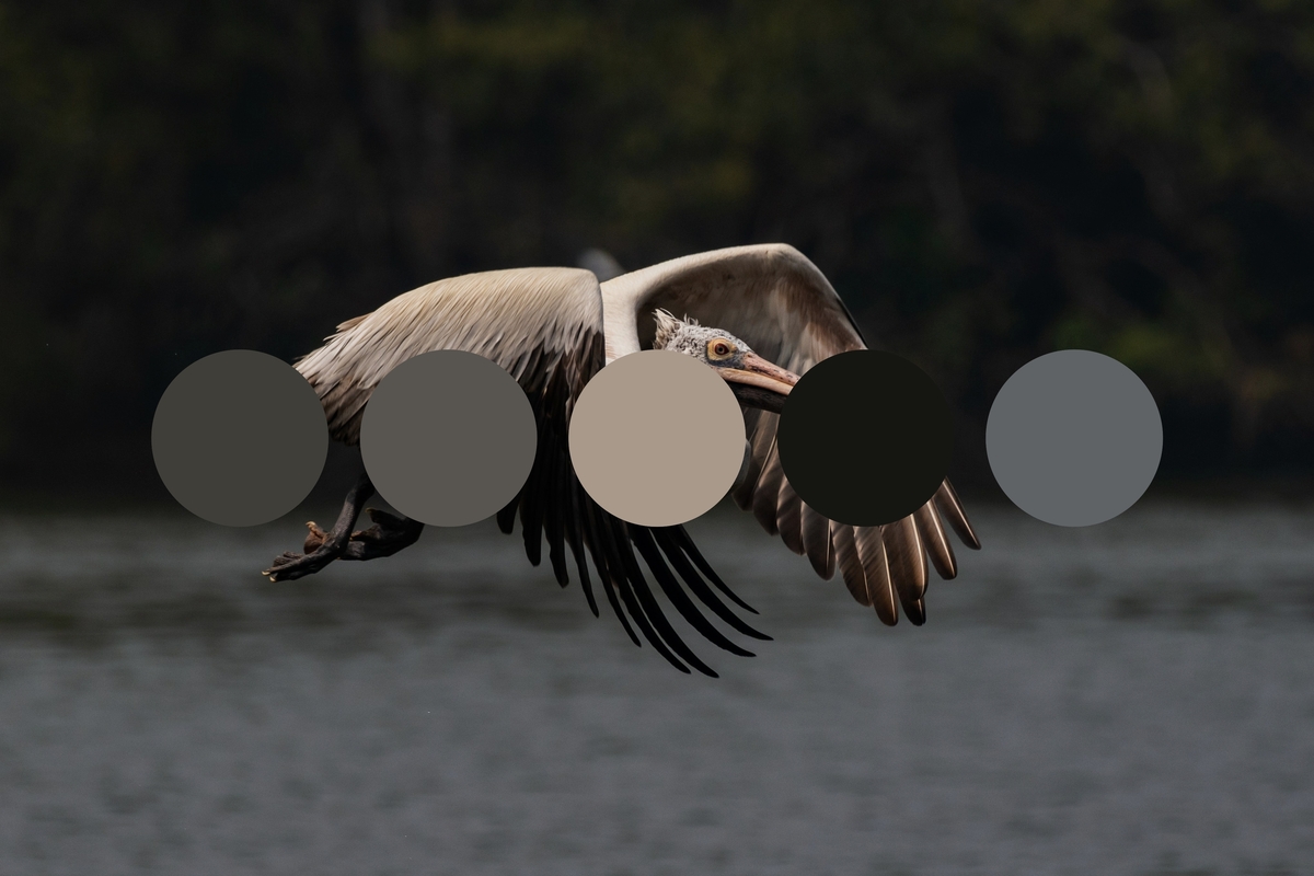 Get color palette inspiration from nature