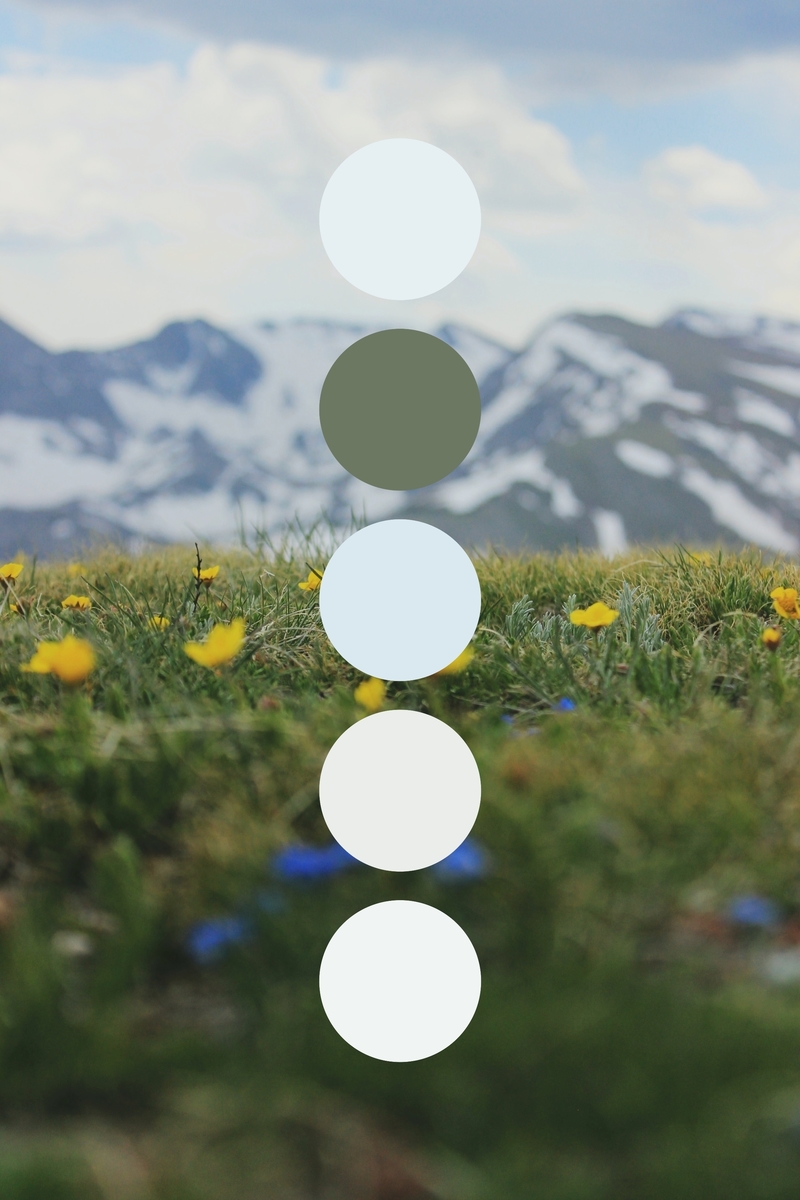 Get color palette inspiration from nature - colorpalettes.earth
