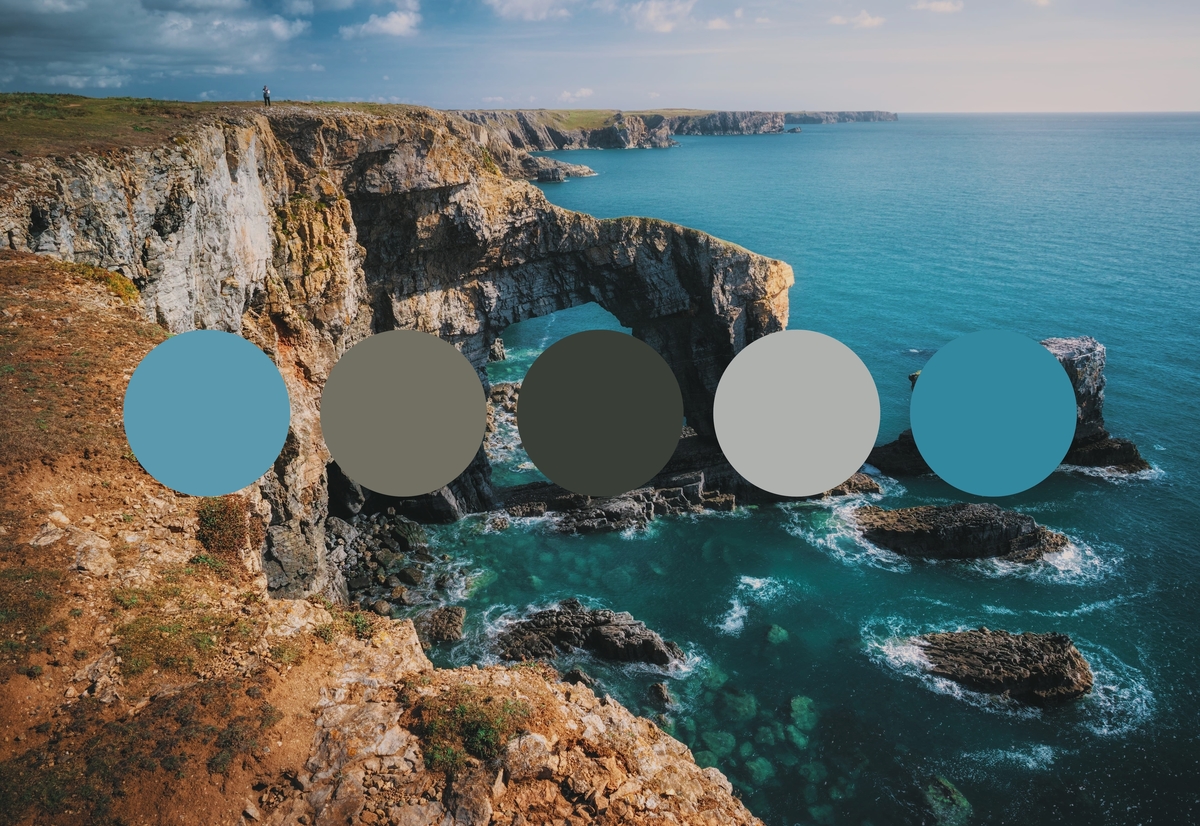 Get color palette inspiration from nature
