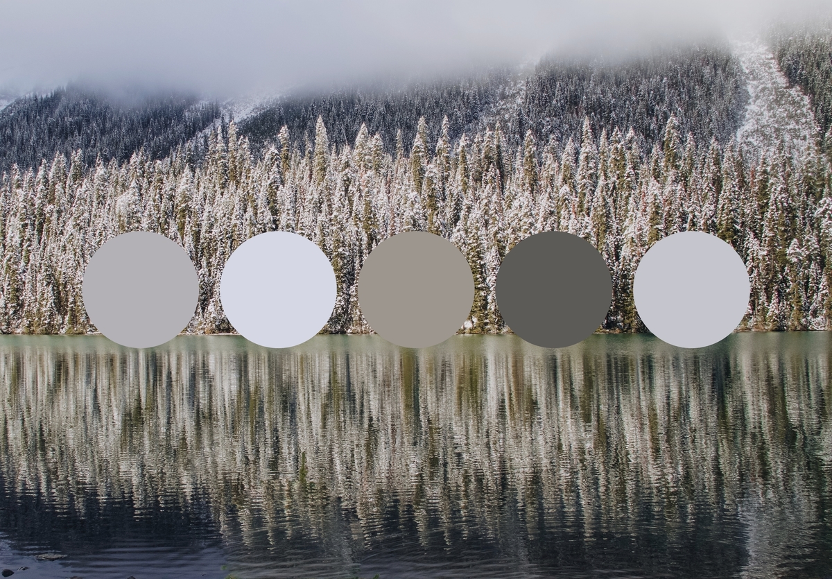 Get color palette inspiration from nature