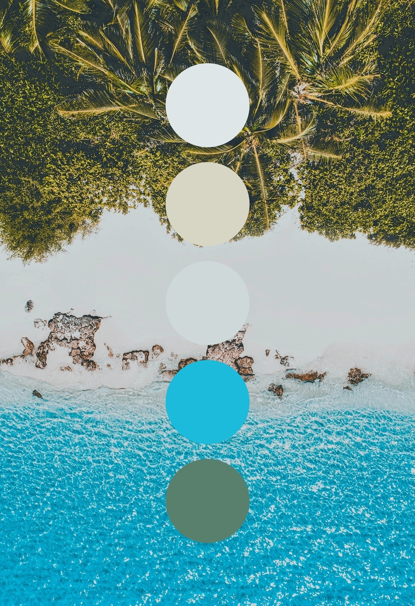 Get color palette inspiration from nature
