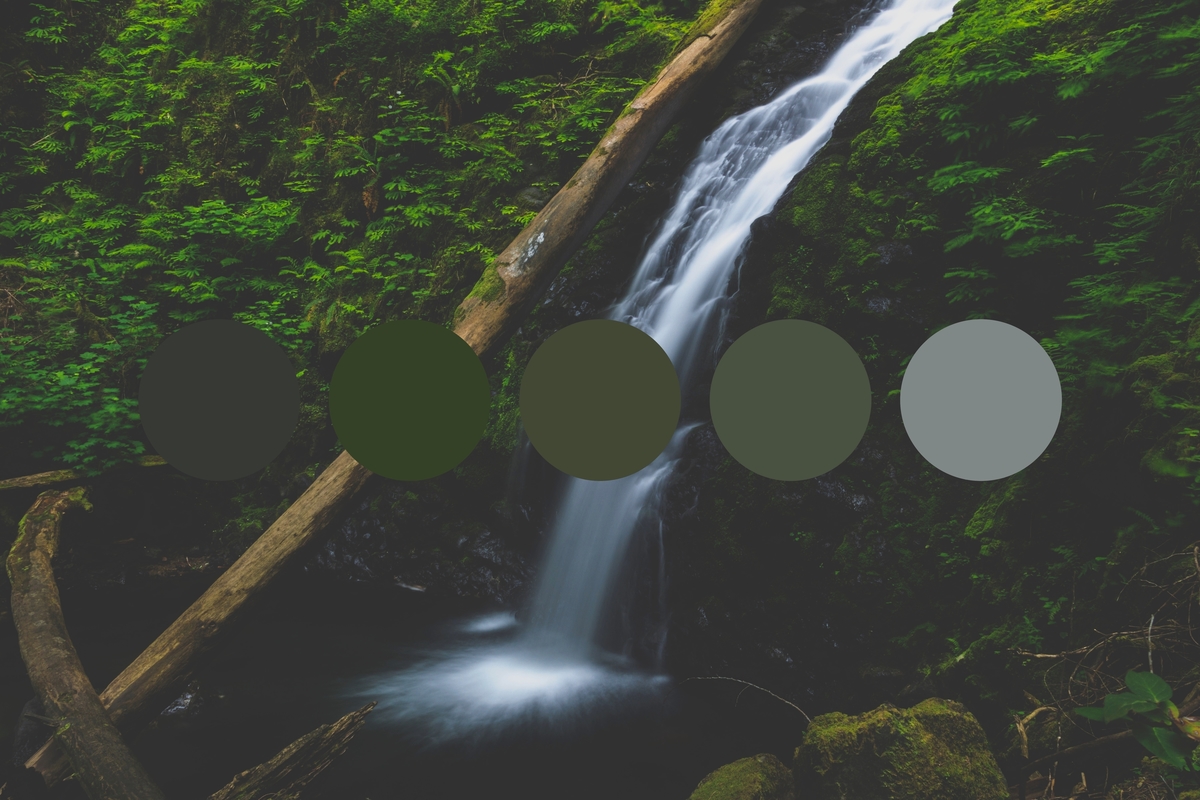 Get color palette inspiration from nature