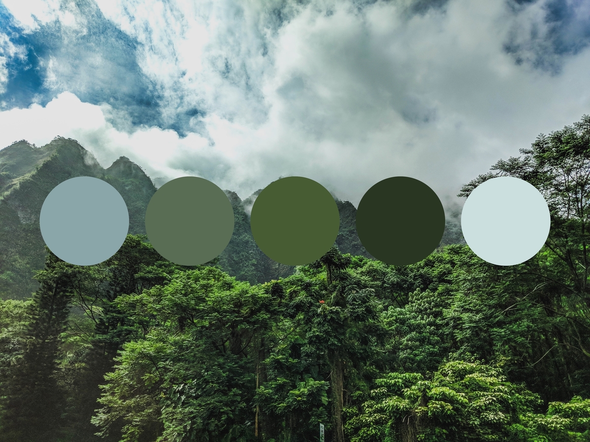 Get color palette inspiration from nature