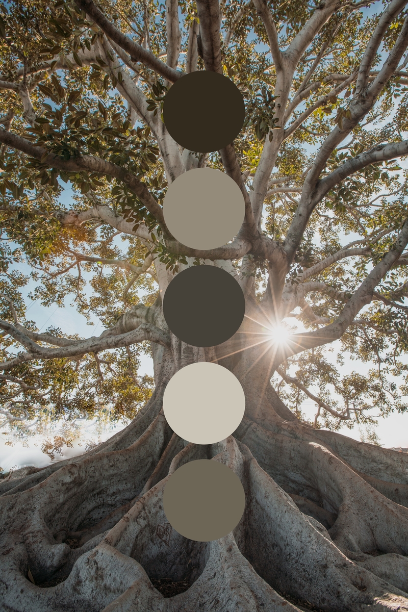 Get color palette inspiration from nature