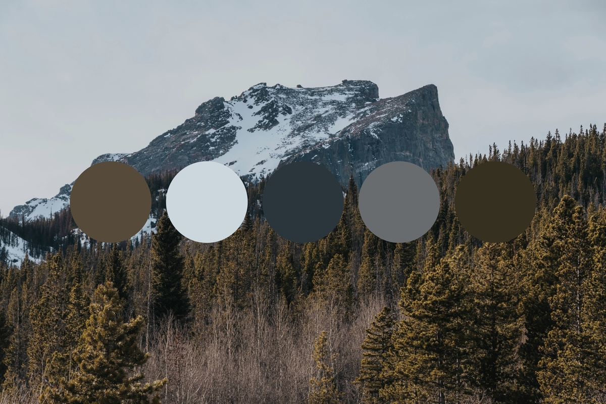 Get color palette inspiration from nature