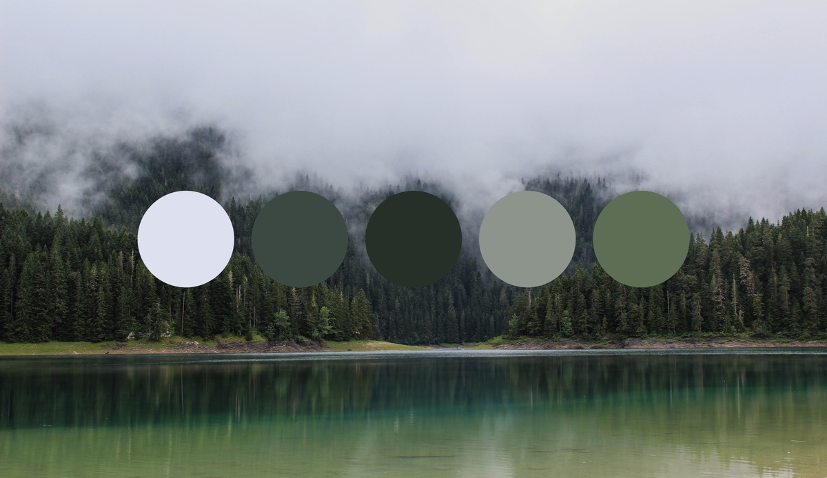 Get color palette inspiration from nature