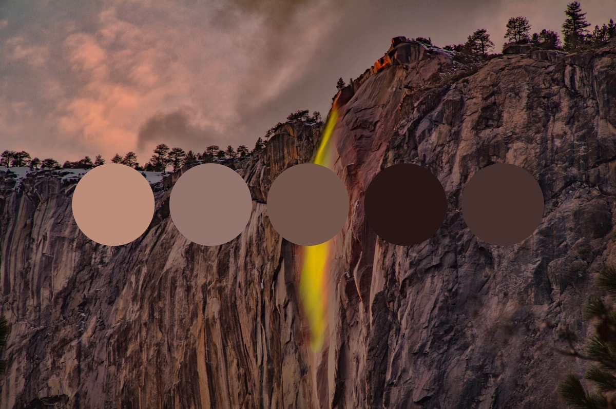 Get color palette inspiration from nature