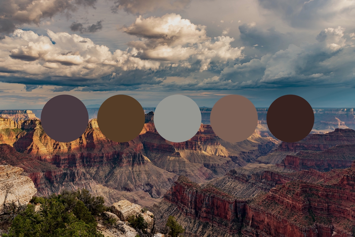 Get color palette inspiration from nature