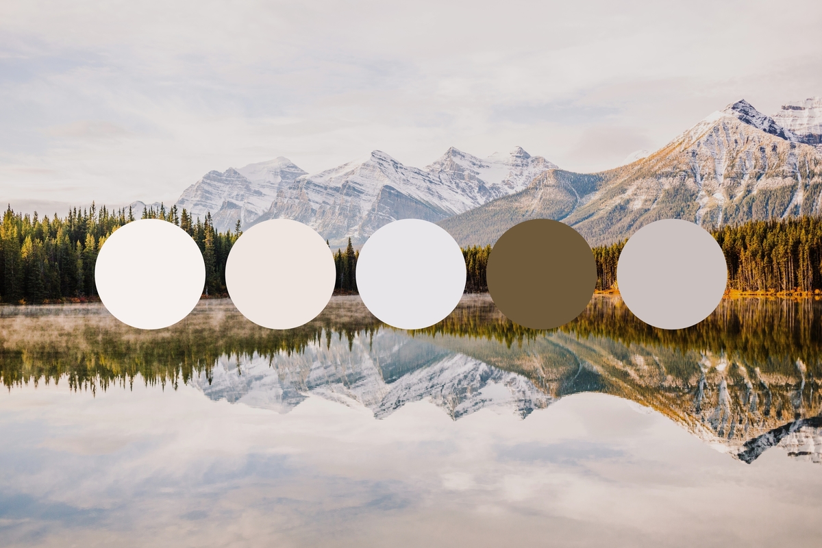 Get color palette inspiration from nature