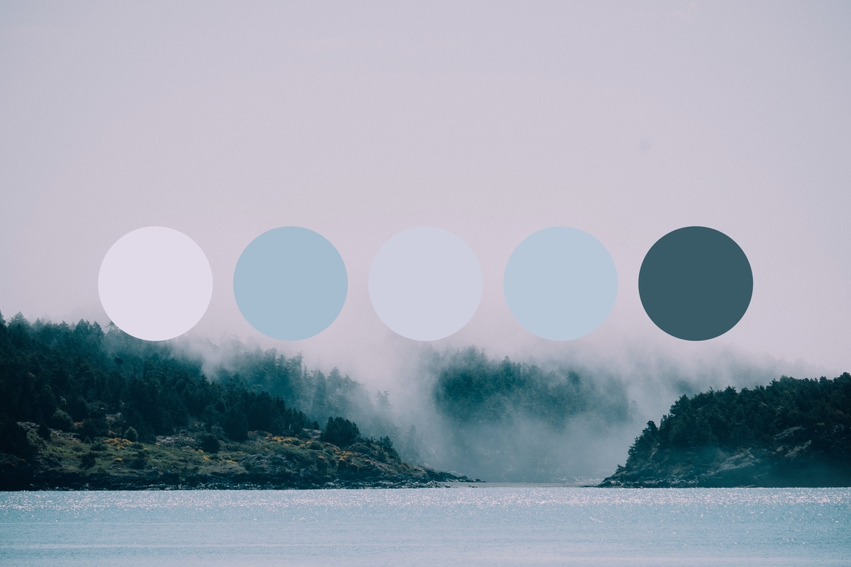 Get color palette inspiration from nature
