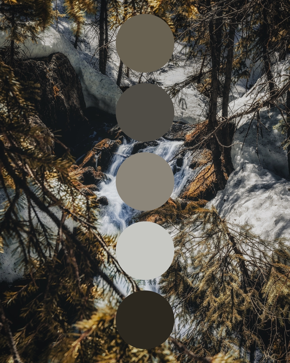 Get color palette inspiration from nature