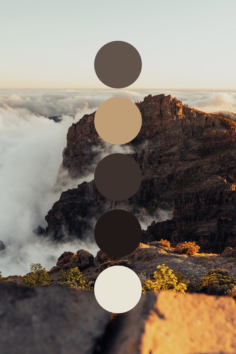 Get color palette inspiration from nature
