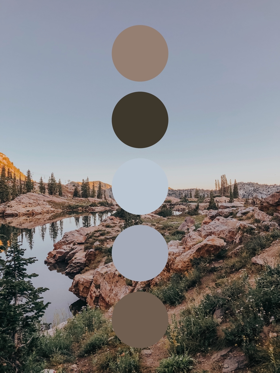 Get color palette inspiration from nature