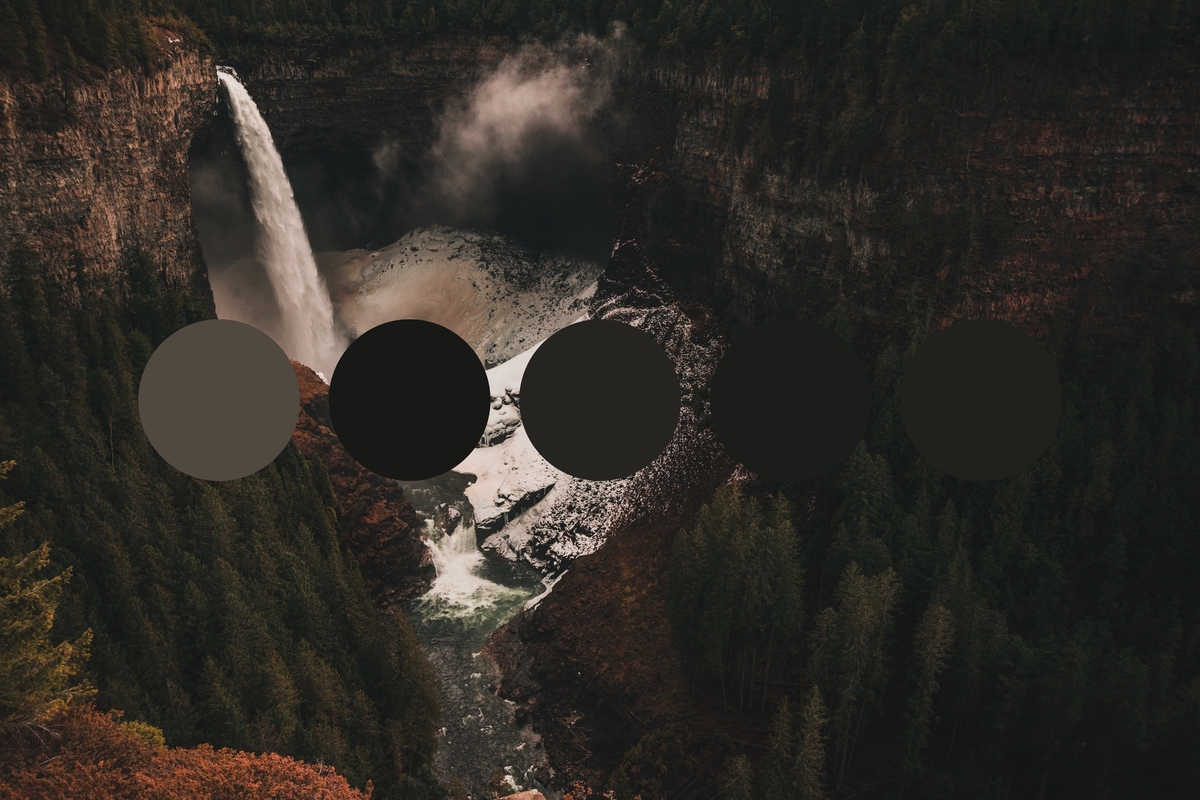 Get color palette inspiration from nature