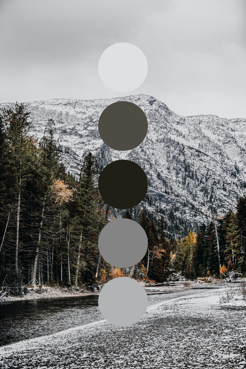 Get color palette inspiration from nature