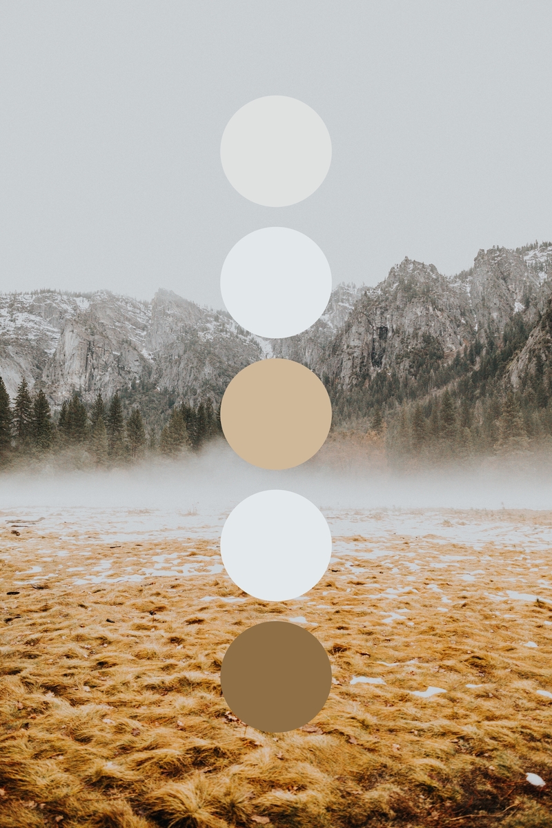 Get color palette inspiration from nature