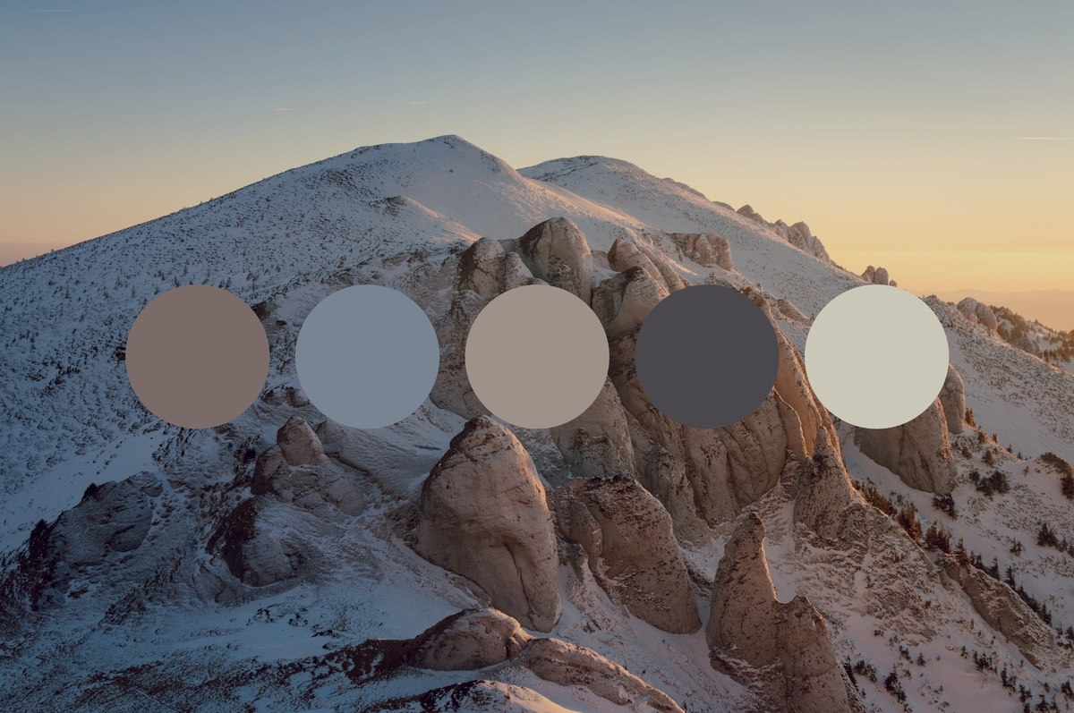 Get color palette inspiration from nature - colorpalettes.earth