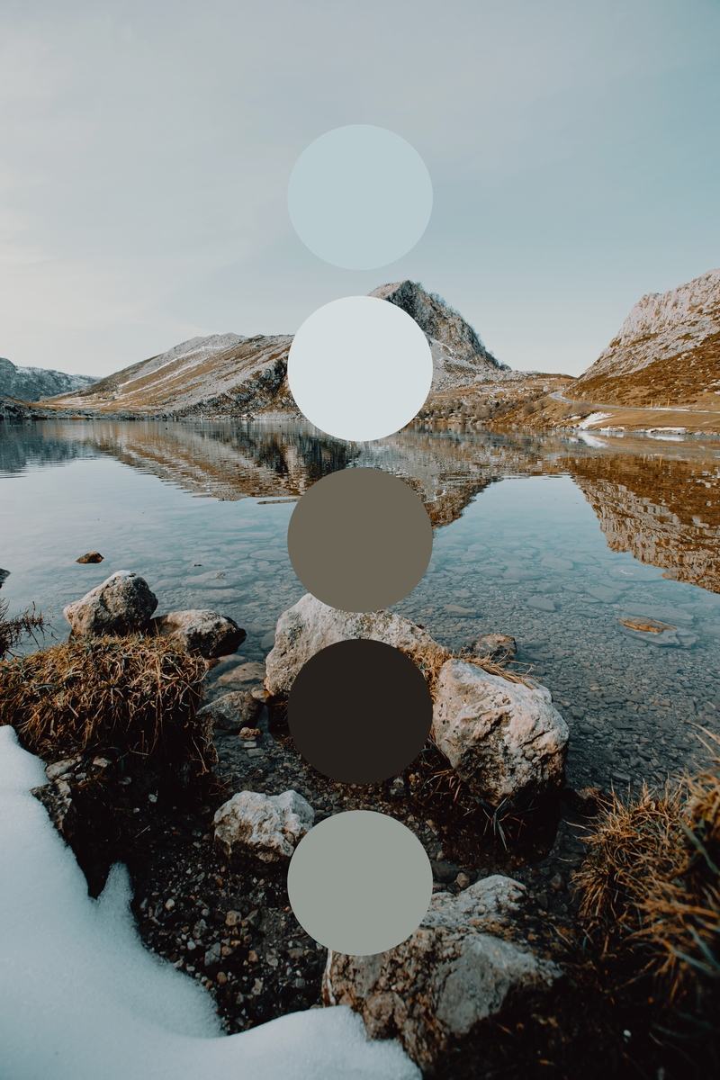 Get color palette inspiration from nature - colorpalettes.earth