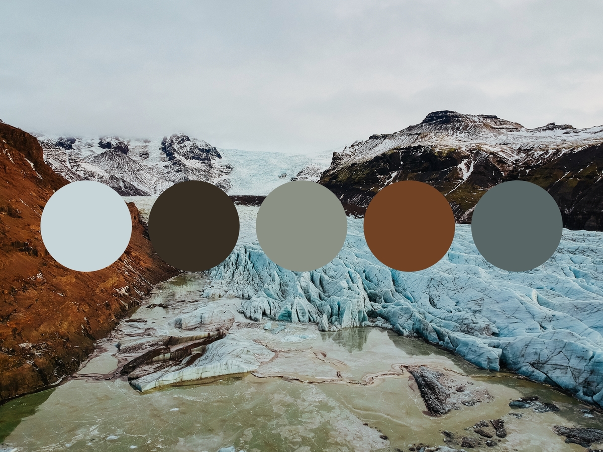 Get color palette inspiration from nature